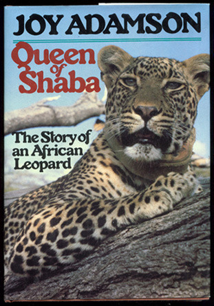 Queen of Shaba : The Story of an African Leopard by Joy Adamson | Goodreads