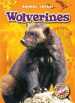 Wolverines (Blastoff! Readers: Animal Safari) by Megan Borgert-Spaniol ...