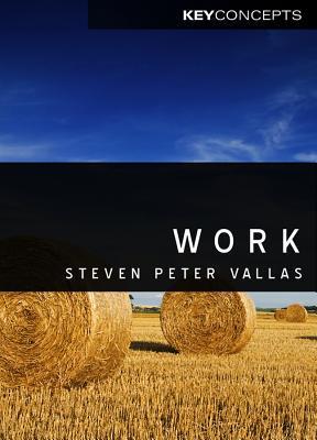 Work: A Critique by Steven Peter Vallas | Goodreads