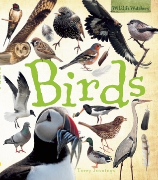 Birds (Wildlife Watchers) by Terry Jennings | Goodreads