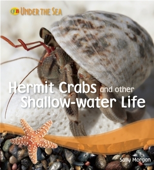Hermit Crabs and other Shallow-water Life by Sally Morgan | Goodreads