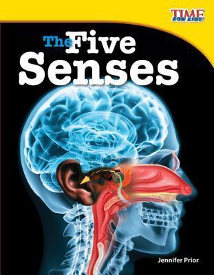 The Five Senses (library bound) by Jennifer Prior | Goodreads