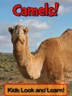 Camels by Becky Wolff | Goodreads