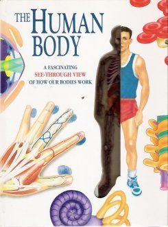 The Human Body: A Fascinating See-Through View of How Our Bodies Work ...