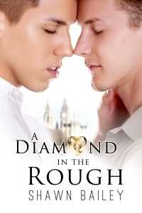 A Diamond in the Rough by Shawn Bailey | Goodreads
