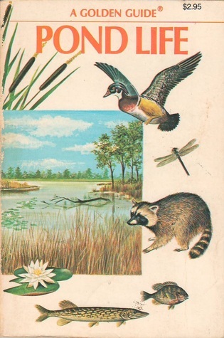 Pond Life (A Golden Guide) by George K. Reid | Goodreads