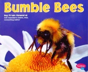 Bumble Bees (Bugs, Bugs, Bugs!) by Fran Howard | Goodreads
