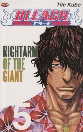Bleach Vol. 5: Right Arm of the Giant by Tite Kubo | Goodreads
