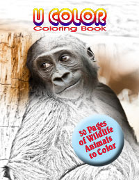 U Color: Coloring Book- Wildlife by Harry Hallman | Goodreads