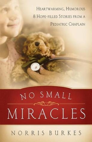 No Small Miracles: Heartwarming, Humorous * Hopefilled Stories from a ...