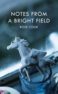 Notes from a Bright Field by Rose Cook | Goodreads