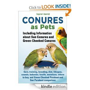 Conures as Pets: Including Information about Sun Conures and Green ...