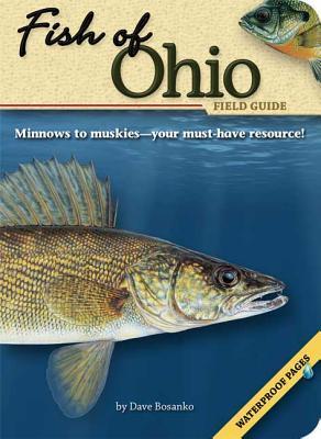Fish of Ohio Field Guide (Fish Identification Guides) by Dave Bosanko ...