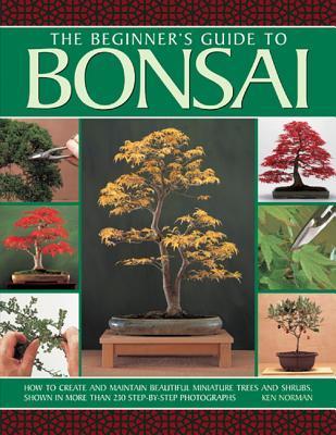 The Beginner's Guide to Bonsai: How To Create And Maintain Beautiful ...