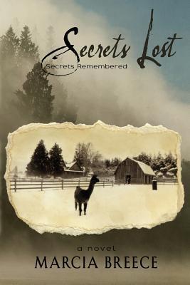 Secrets Lost: Secrets Remembered by Marcia Breece | Goodreads