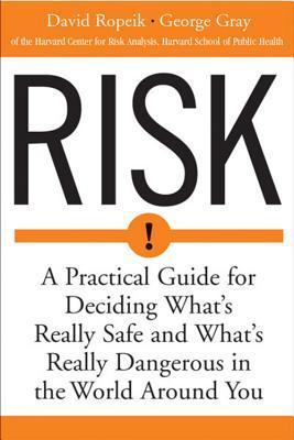 Risk: A Practical Guide for Deciding What's Really Safe and What's ...