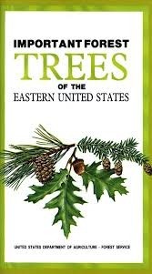 Important Forest Trees of the Eastern United States by C. Frank ...