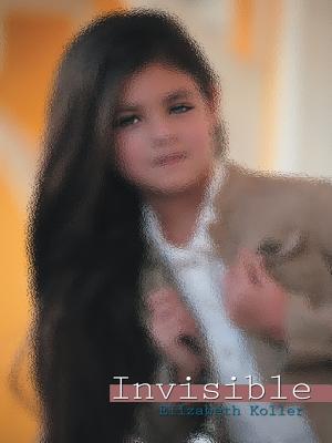 Invisible by Elizabeth Koller | Goodreads