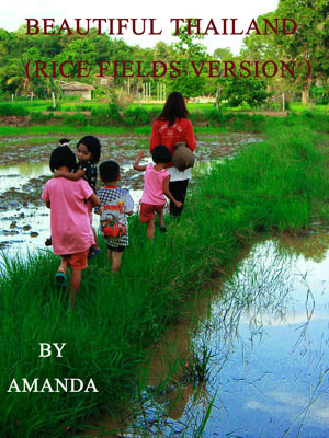 Beautiful Isan Thailand ( Photo Book Rice Fields.) by Miranda Mac ...
