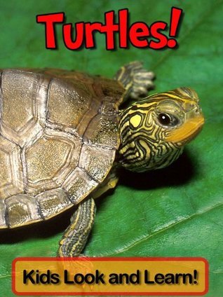 Turtles! Learn About Turtles and Enjoy Colorful Pictures - Look and ...