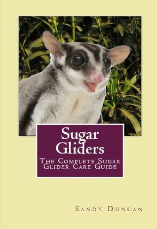 Sugar Gliders: The Complete Sugar Glider Care Guide by Sandy Duncan ...
