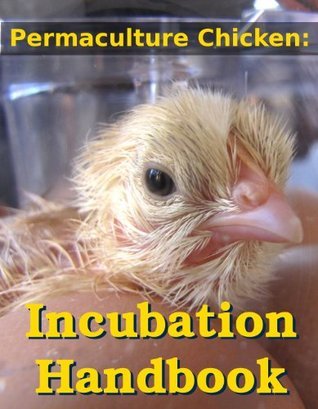 Incubating And Hatching Homegrown Chicks Perpetuate A Self Sufficient