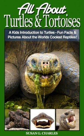 Animal Books: All About Turtles and Tortoises, A Kids Introduction ...