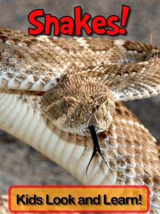 Snakes! Learn About Snakes and Enjoy Colorful Pictures - Look and Learn ...