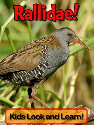 Rallidae! Learn About Rallidae and Enjoy Colorful Pictures - Look and ...