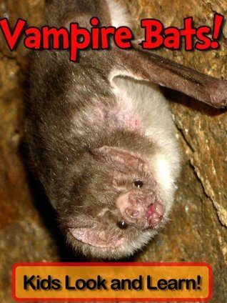 Vampire Bats! Learn About Vampire Bats and Enjoy Colorful Pictures ...
