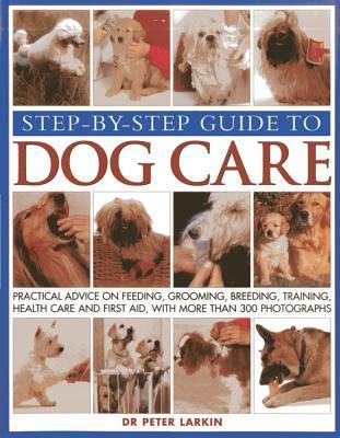 Step-By-Step Guide To Dog Care: Practical Advice On Feeding, Grooming ...