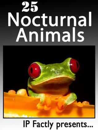 25 Nocturnal Animals. Amazing facts, photos and video links to animals ...