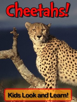Cheetahs! Learn About Cheetahs and Enjoy Colorful Pictures - Look and ...