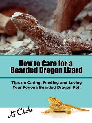 How to Care for a Bearded Dragon Lizard "Tips on Caring, Feeding and ...