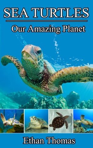 Sea Turtles! Sea Turtle Book for Kids - Fun Facts and Sensational Full ...