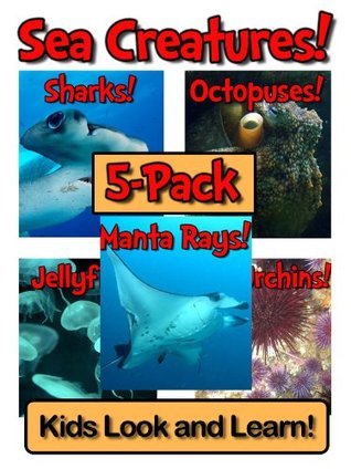 Sea Creatures! Learn About Sea Creatures and Enjoy Colorful Pictures ...