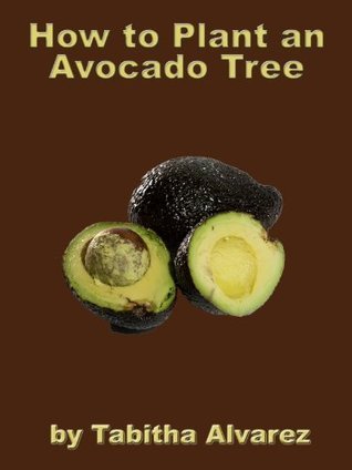 How to Plant an Avocado Tree by Tabitha Alvarez | Goodreads