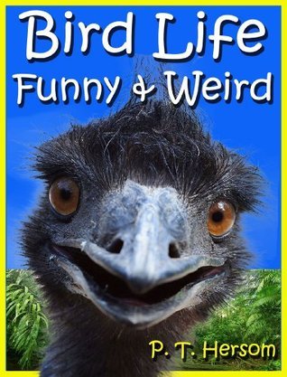Bird Life Funny & Weird Feathered Animals - Learn with Amazing Bird ...