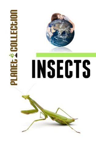 Insects: Picture Book (Educational Children's Books Collection) - Level ...