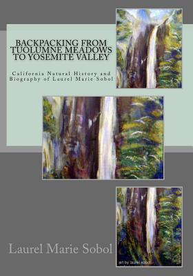 Backpacking from Tuolumne Meadows to Yosemite Valley: California ...