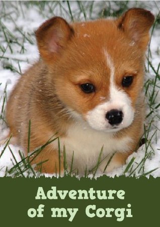 Adventure of my Corgi (A Learn to Read Picture Book for Kids) An easy ...