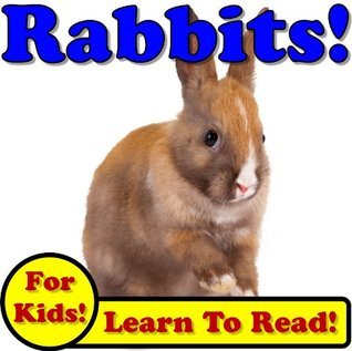 Rabbits! Learn About Rabbits While Learning To Read - Rabbit Photos And ...
