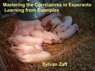 Mastering the Correlatives in Esperanto: Learning from Examples by ...
