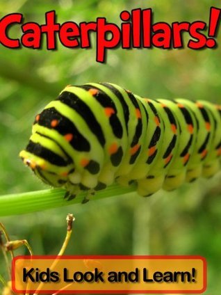 Caterpillars! Learn About Caterpillars and Enjoy Colorful Pictures ...