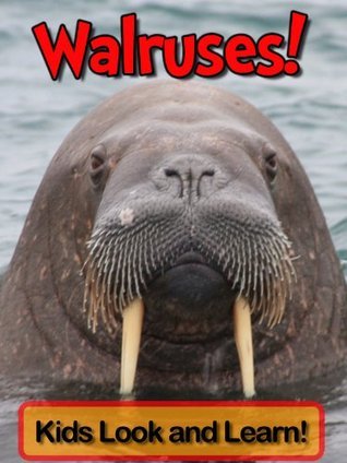 Walruses! Learn About Walruses and Enjoy Colorful Pictures - Look and ...