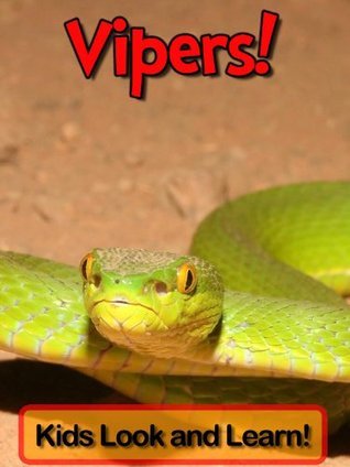 Vipers! Learn About Vipers and Enjoy Colorful Pictures - Look and Learn ...