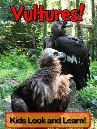 Vultures! Learn About Vultures and Enjoy Colorful Pictures - Look and ...