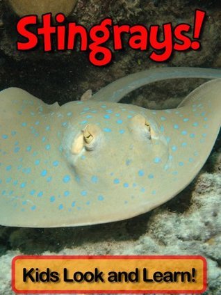 Stingrays! Learn About Stingrays and Enjoy Colorful Pictures - Look and ...