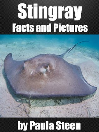 Stingray: Facts and Pictures Book for Kids by Paula Steen | Goodreads