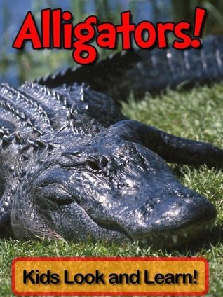 Alligators! Learn About Alligators and Enjoy Colorful Pictures - Look ...